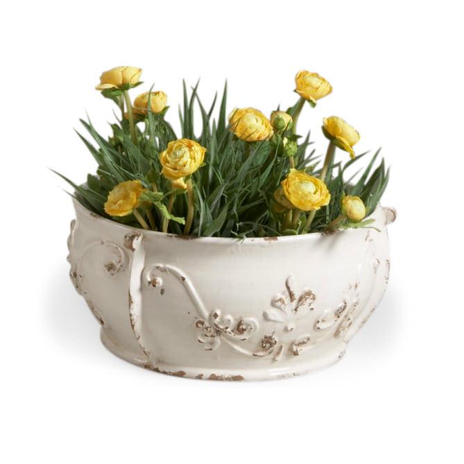 Chelsea House Monaco Ceramic Cachepot – eCTURE