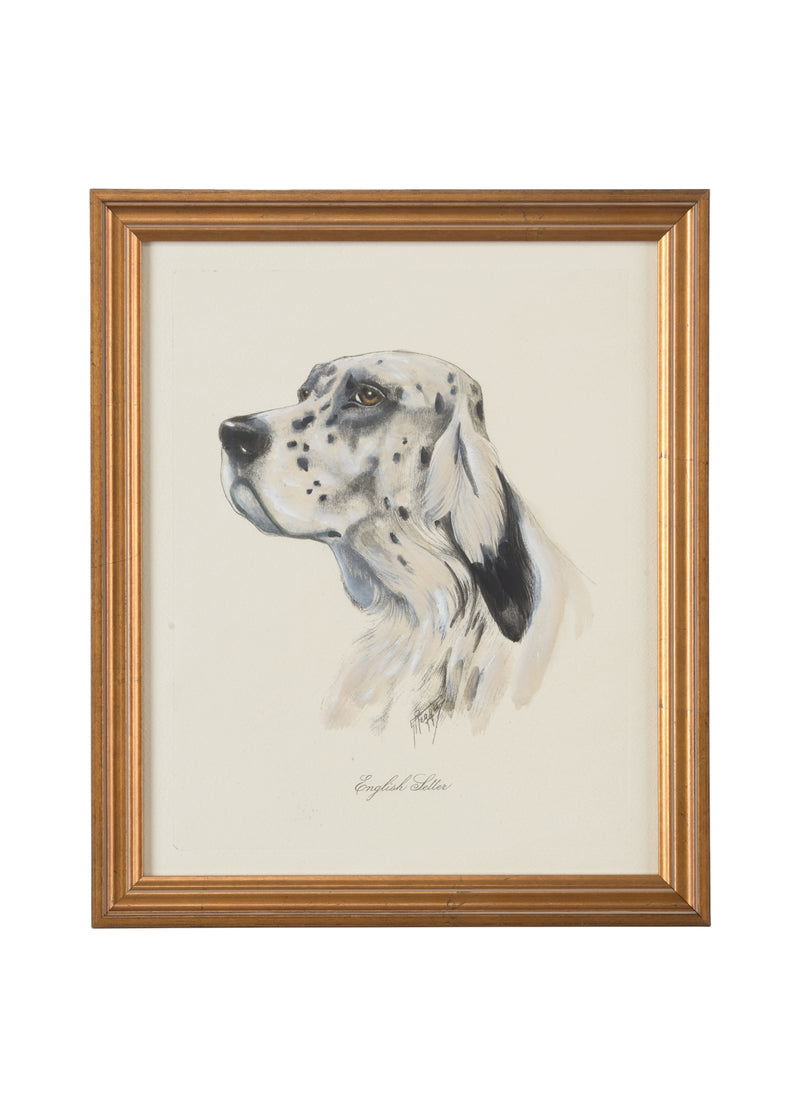 Chelsea House English Setter – eCTURE